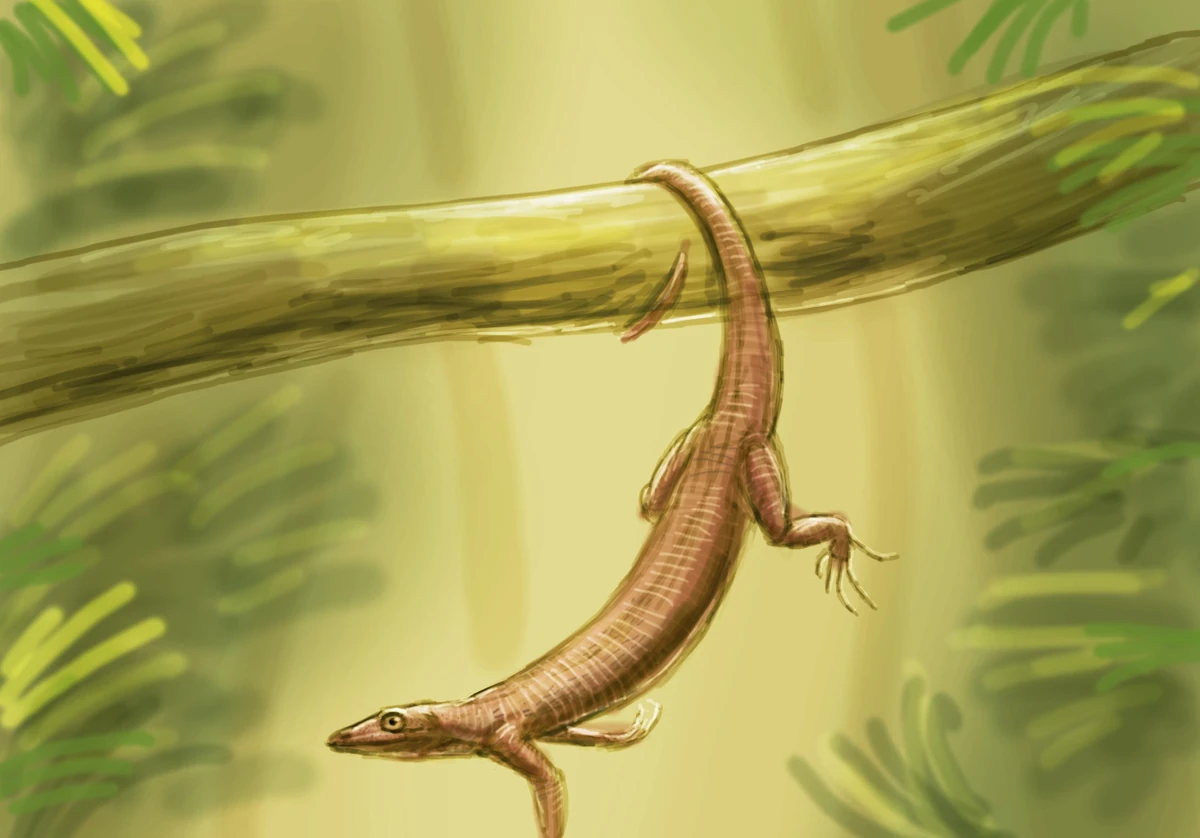 Acendonanus | New ideas by Matt Weaver Wiki | Fandom