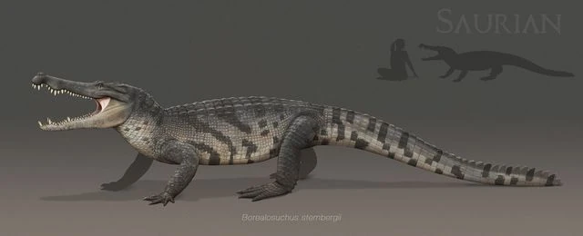 Borealosuchus | New ideas by Matt Weaver Wiki | Fandom