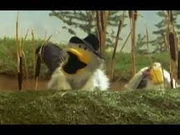 Barney kidsongs-6 little ducks | New ideas by Matt Weaver Wiki | Fandom