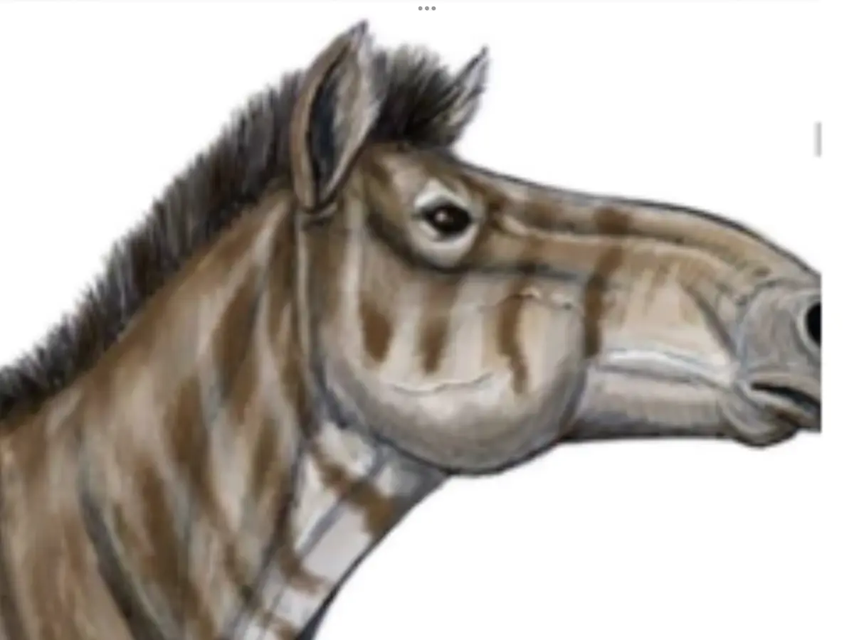 Woolly Zebra-Ice Age Animals (Animal Planet Kids Documentary) | New ...