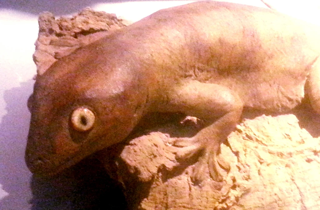 Jurassic kratts-bringing back the sticky-toed gecko | New ideas by Matt ...