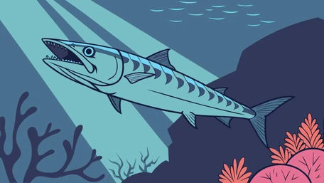 BARRACUDAS-SeaArt AI Theater The Little Merfox Ariel Series | New ideas ...