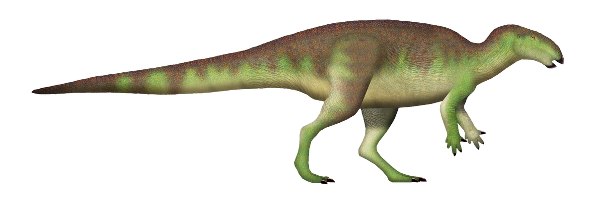 Calvarius-dinosaur | New ideas by Matt Weaver Wiki | Fandom