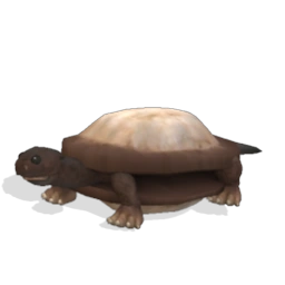 Compsemys | New ideas by Matt Weaver Wiki | Fandom