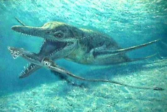 Brachauchenius-Dinosaur Age Animals (Discovery Kids Documentary) | New ...
