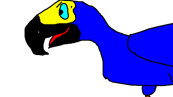 Peekaboo Parrots-Stanley new series | New ideas by Matt Weaver Wiki ...