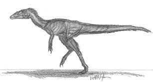 Zuolong | New ideas by Matt Weaver Wiki | Fandom