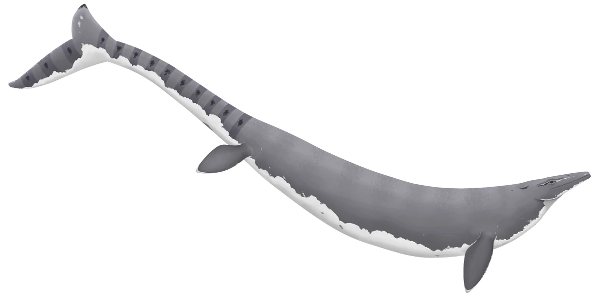 Mosasaurus facts-Wild Kratts prehistoric | New ideas by Matt Weaver ...