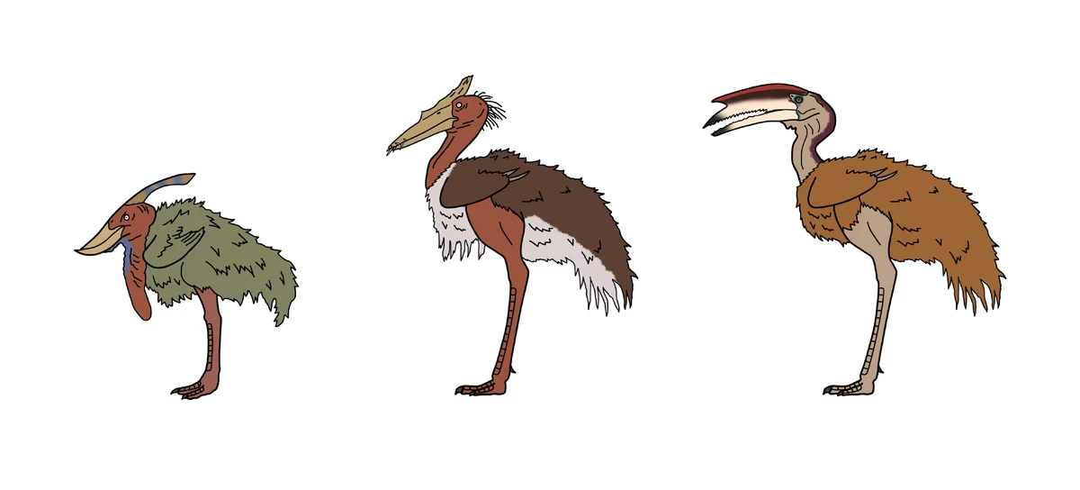 Carrion Storks | New ideas by Matt Weaver Wiki | Fandom