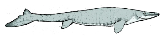 Aristonectes-the Antarctic plesiosaur: Jurassic Kratts | New ideas by ...