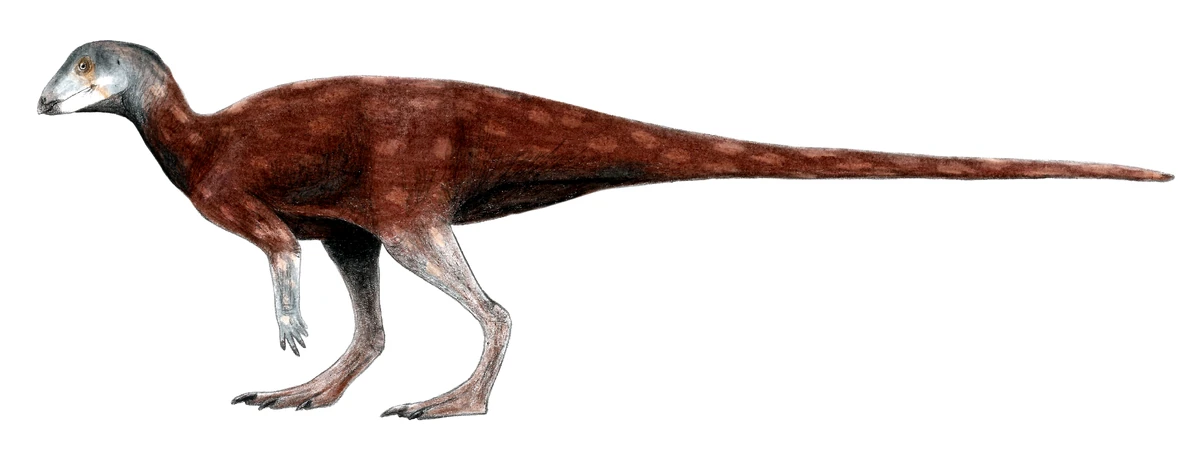 Albertadromeus | New ideas by Matt Weaver Wiki | Fandom