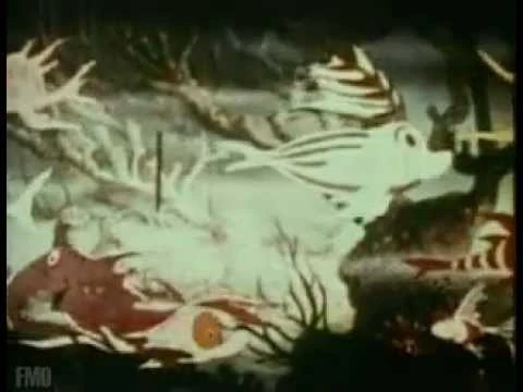 Our funny finny friends | New ideas by Matt Weaver Wiki | Fandom