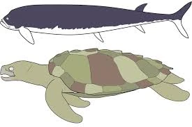 New LBT creatures 12 | New ideas by Matt Weaver Wiki | Fandom