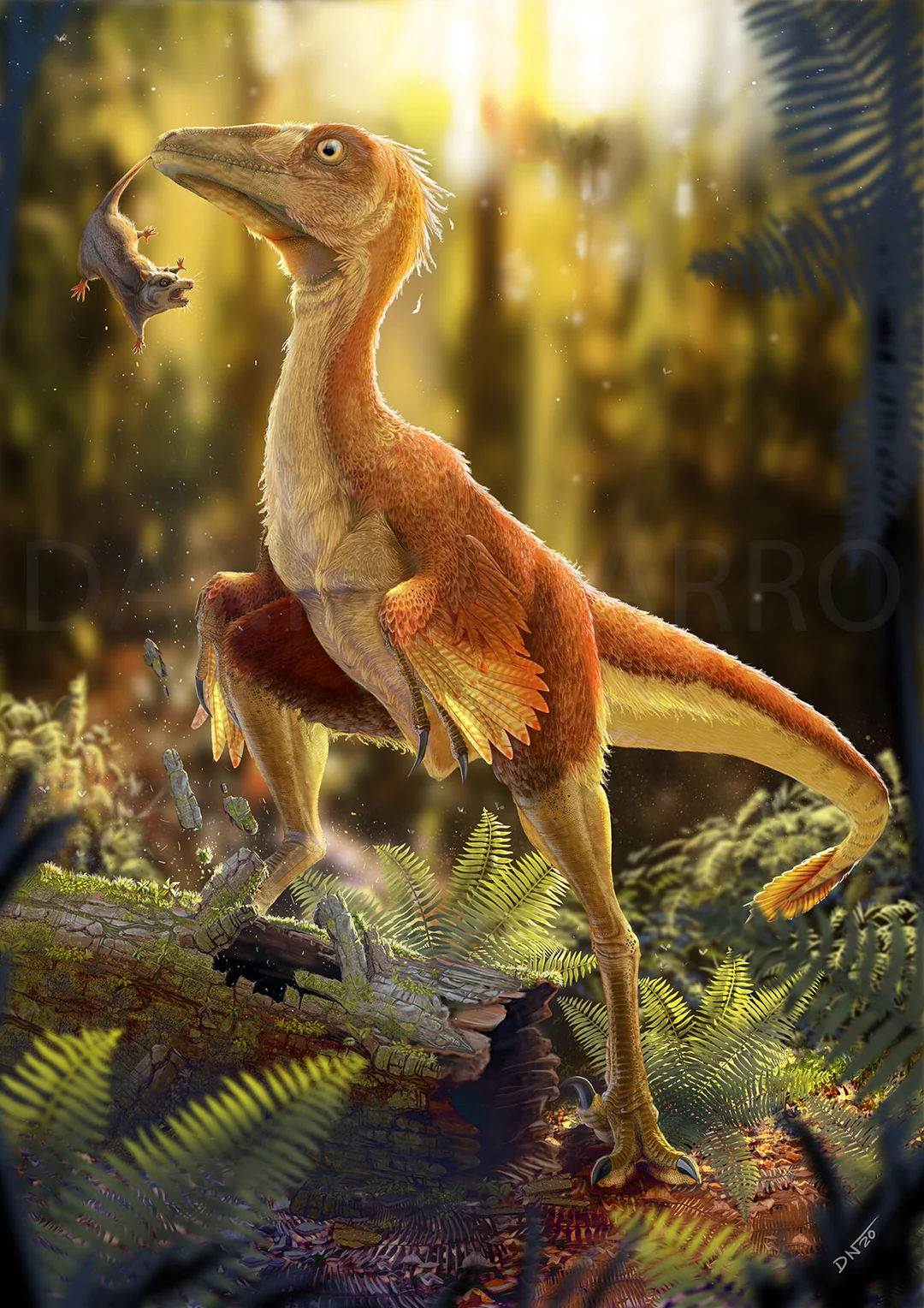 Reptiles featured in the Little Merfox series | New ideas by Matt ...