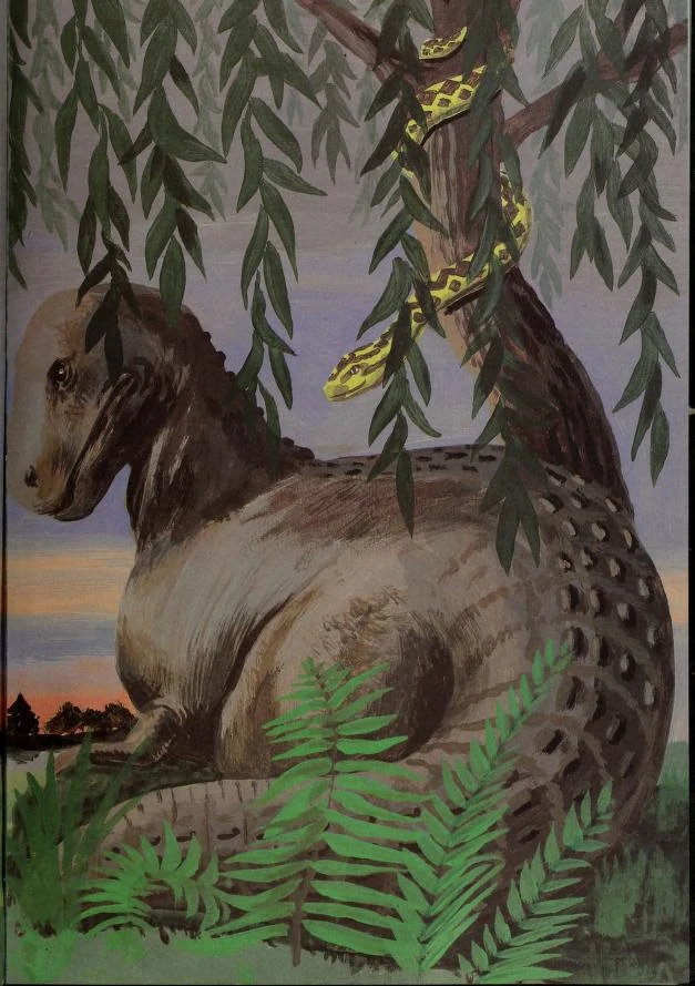 Albertosaurus Rourke Dinosaur Library New Ideas By Matt Weaver Wiki
