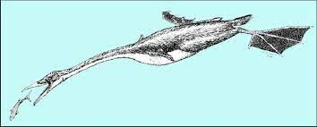Baptornis-Wild Kratts prehistoric | New ideas by Matt Weaver Wiki | Fandom