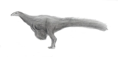 Nqwebasaurus | New ideas by Matt Weaver Wiki | Fandom