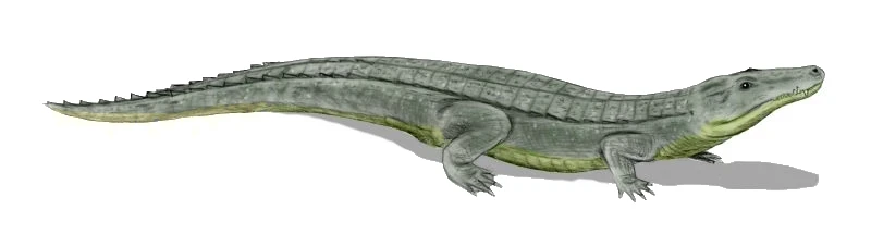 Goniopholis | New ideas by Matt Weaver Wiki | Fandom