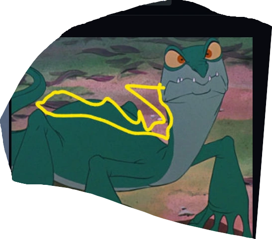 KOMODOS = Amphibia = TORTOISE KOMODO N EEL TAKE | New ideas by Matt ...