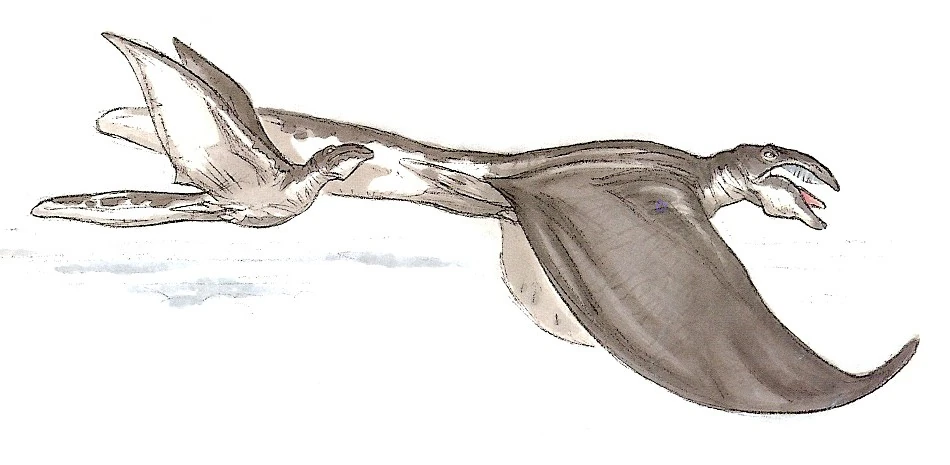 Aiwha-star wars droid scouts preview | New ideas by Matt Weaver Wiki ...