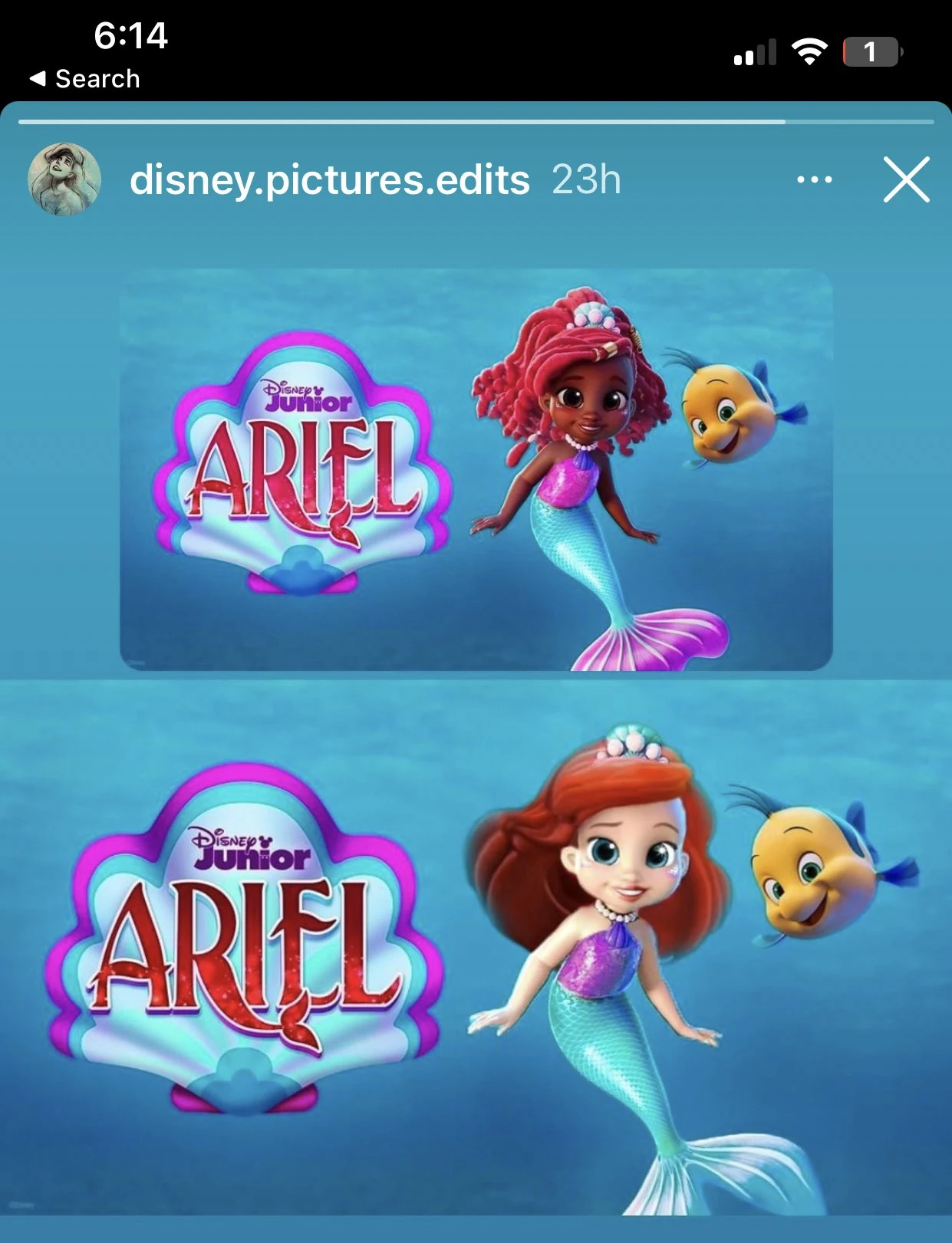 Ariel Face Picture