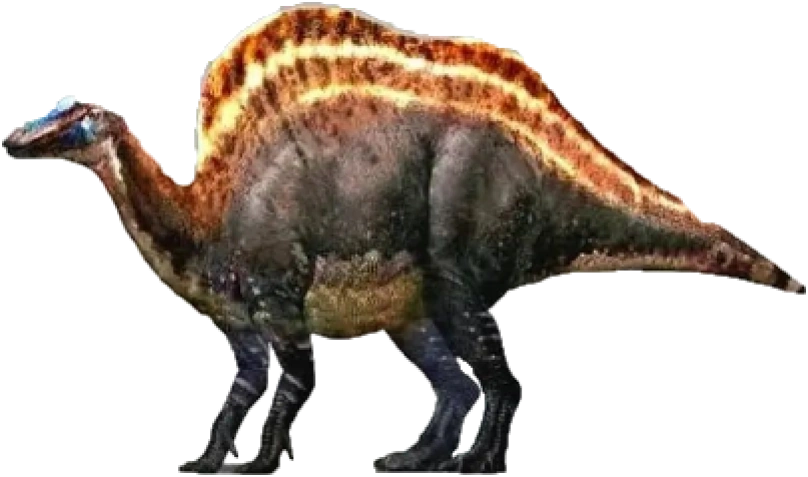 Ouranosaurus | New ideas by Matt Weaver Wiki | Fandom