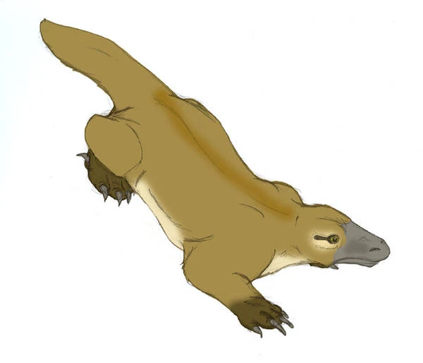 Platypus-like mammal-LBT preview | New ideas by Matt Weaver Wiki | Fandom