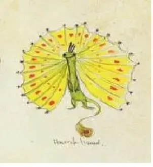 Peacock lizard | New ideas by Matt Weaver Wiki | Fandom