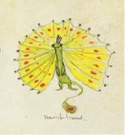 Peacock lizard | New ideas by Matt Weaver Wiki | Fandom