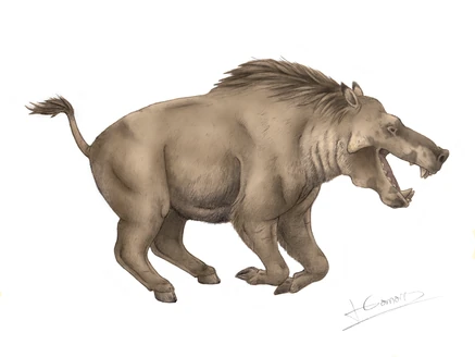 Entelodon-the killer pig: Jurassic kratts | New ideas by Matt Weaver ...