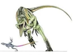 Coelurus preview-jurassic kratts | New ideas by Matt Weaver Wiki | Fandom