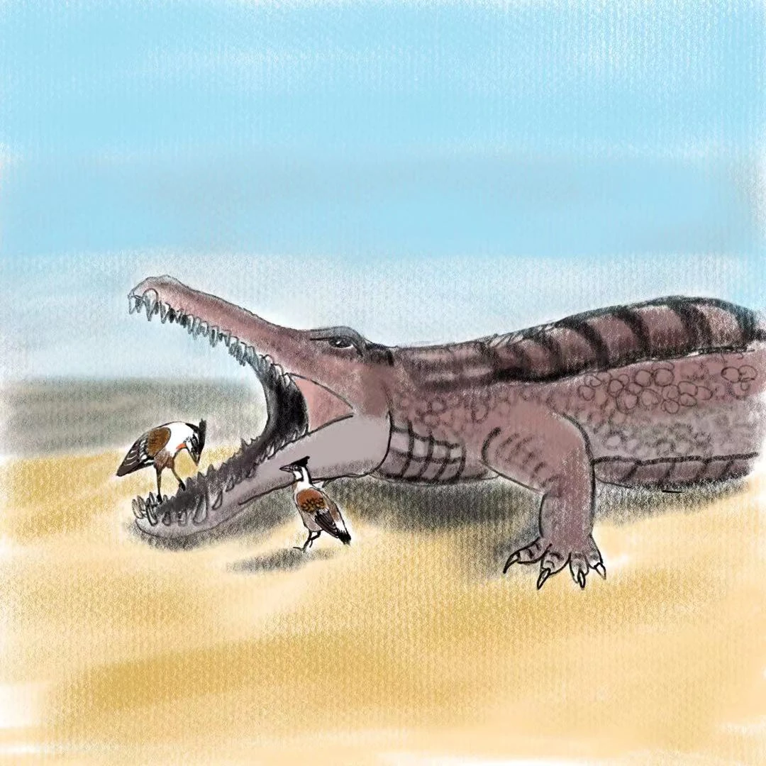 Birdie clean-up: Boneheads Detectives of the paleoworld | New ideas by ...