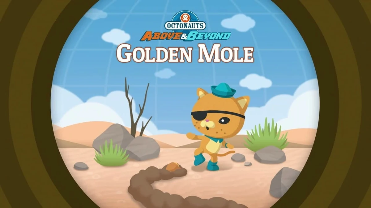 Octonauts: The Octonauts and the Golden Mole | New ideas by Matt Weaver ...