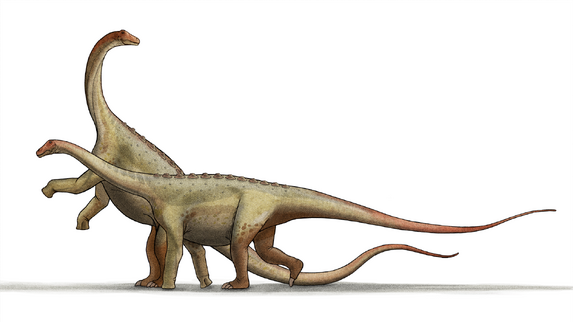 Saltasaurus Dinosaur Planet Remake New Ideas By Matt Weaver Wiki Fandom