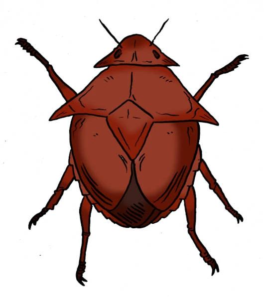 Scar Isle Armor shield-bug | New ideas by Matt Weaver Wiki | Fandom