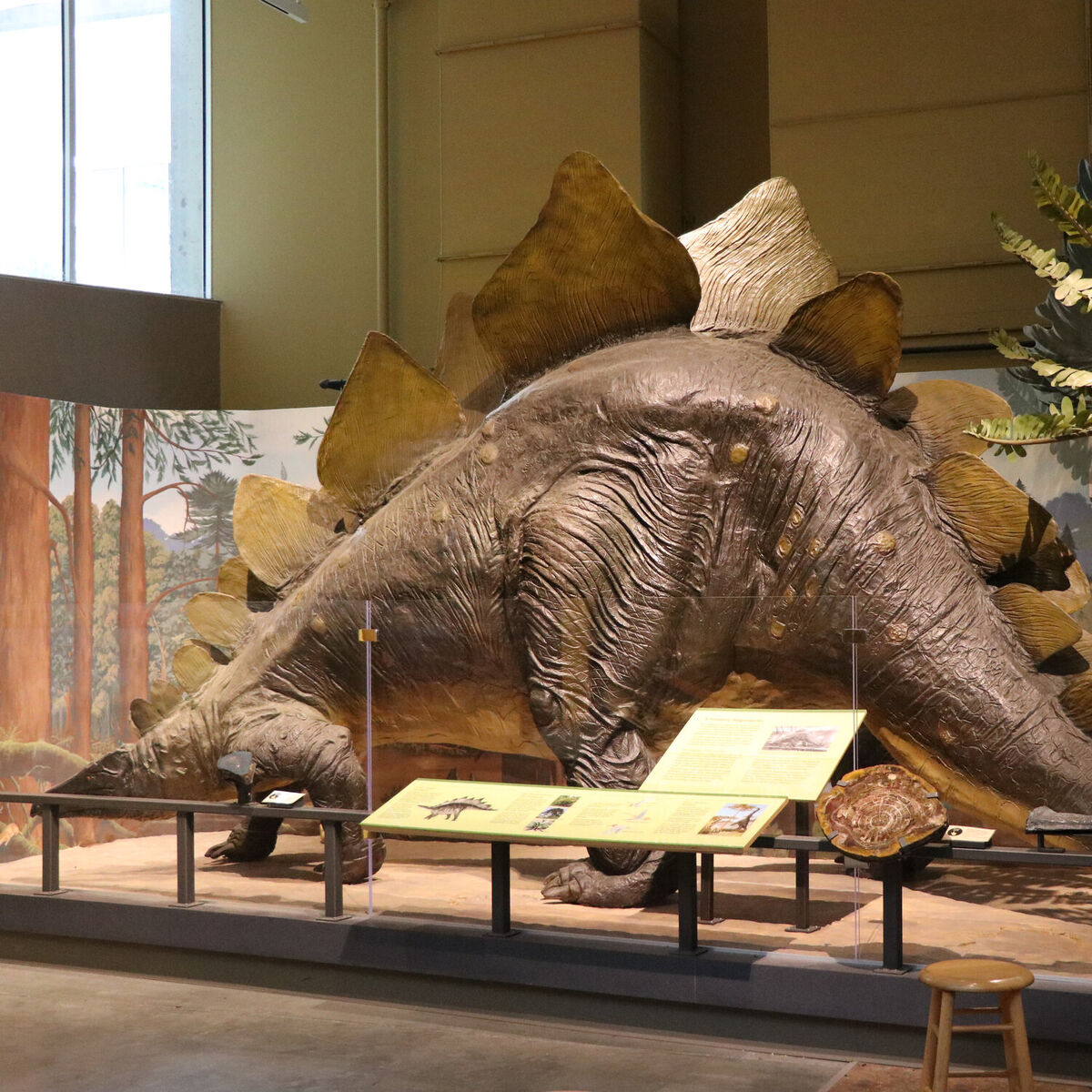 Ridley Jones In Save The Dinosaurs New Ideas By Matt Weaver Wiki