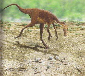 I love Dinosaurs-Troodon the smartest dinosaur preview | New ideas by ...