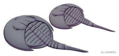 Lunataspis | New ideas by Matt Weaver Wiki | Fandom