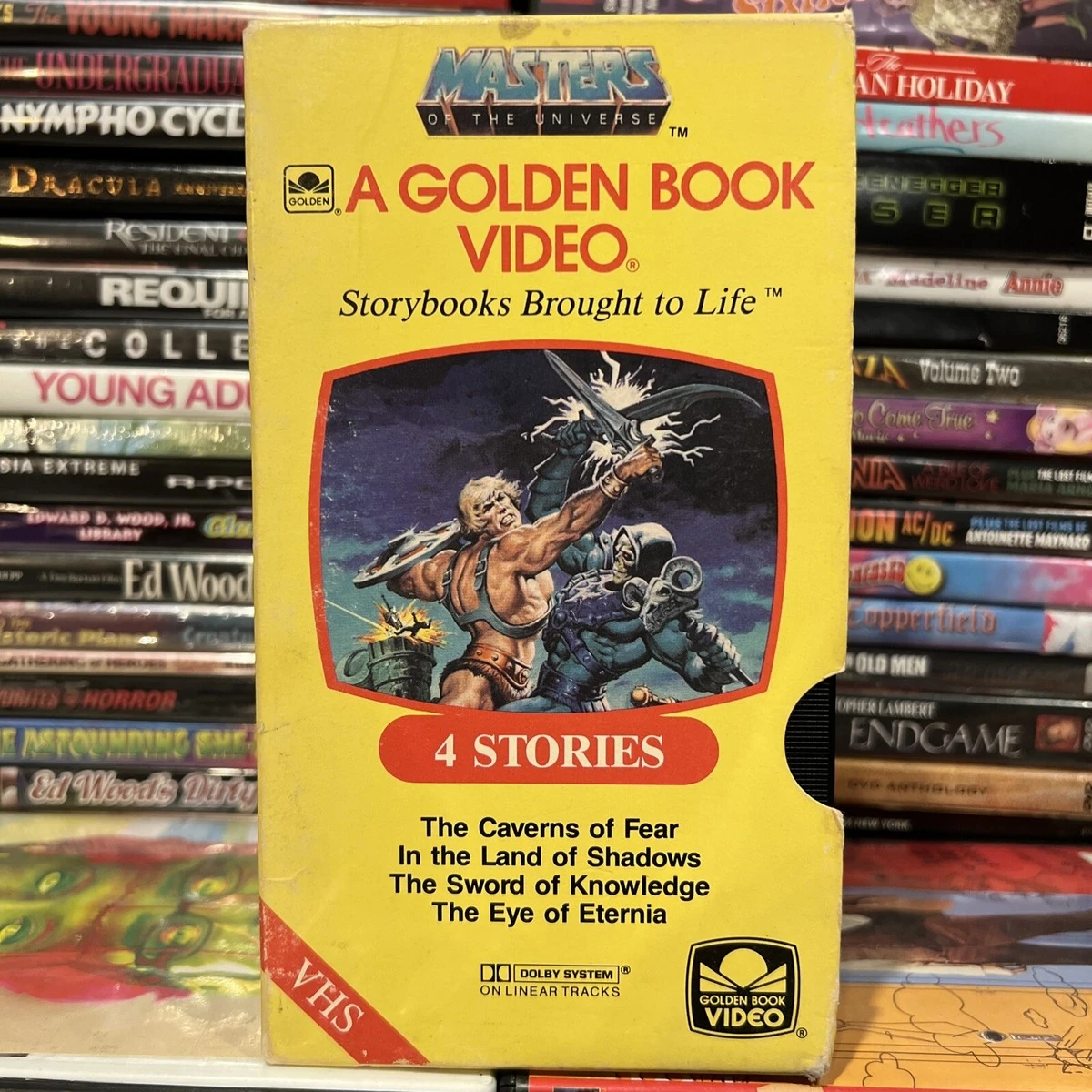 Masters of the Universe - A Golden Book Video - 4 Stories | New ideas by Matt Weaver Wiki | Fandom