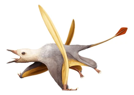 Seazzadactylus | New ideas by Matt Weaver Wiki | Fandom