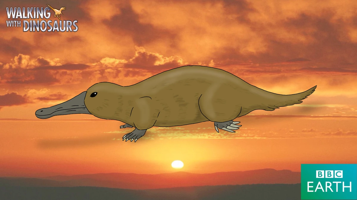 Steropodon | New ideas by Matt Weaver Wiki | Fandom