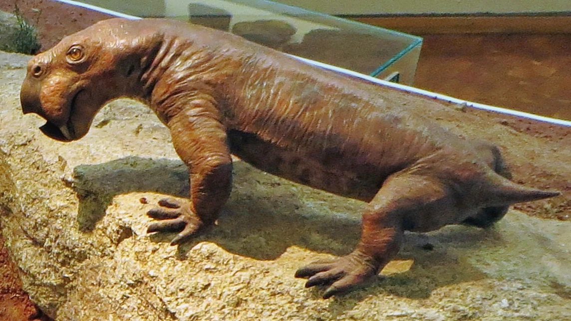 Diictodon | New ideas by Matt Weaver Wiki | Fandom