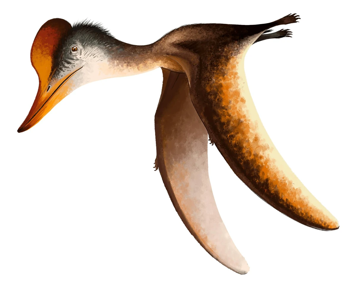 Kepodactylus-Dinosaur Age Animals (Discovery Kids Documentary) | New ...