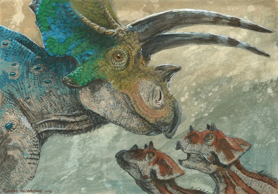 Dino-pops New Episode: Titanoceratops | New ideas by Matt Weaver Wiki ...