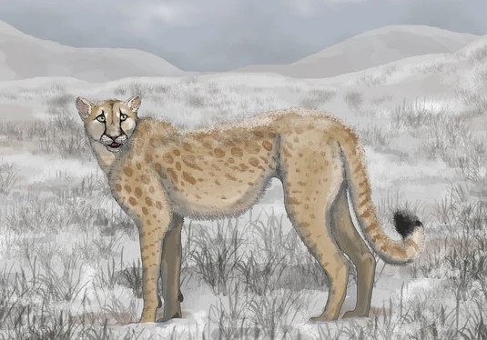 Wild kratts prehistoric-American cheetah | New ideas by Matt Weaver ...