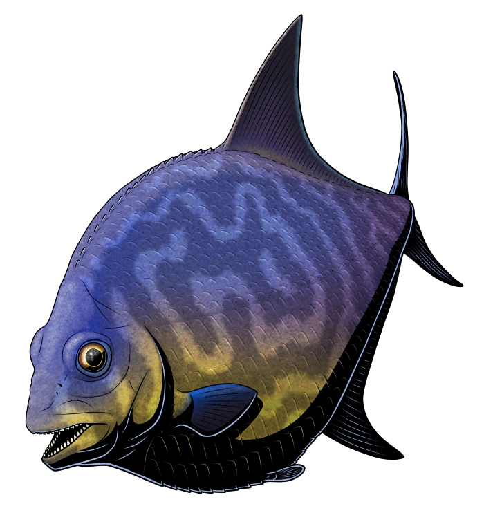 Octonauts-prehistoric seas quick preview 1 | New ideas by Matt Weaver ...