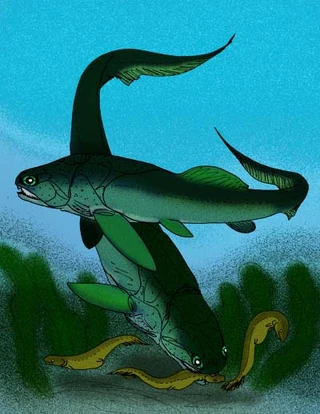 Coccosteus | New ideas by Matt Weaver Wiki | Fandom