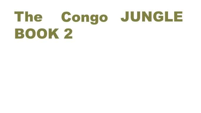 CONGO BOOK 2 review | New ideas by Matt Weaver Wiki | Fandom