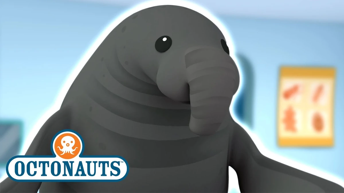 The Enormous elephant seal-octonauts | New ideas by Matt Weaver Wiki ...
