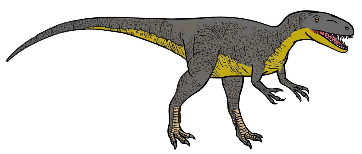 Wild KRatts prehistoric-Megalosaurus mambo | New ideas by Matt Weaver ... Wild KRatts prehistoric-Megalosaurus mambo | New ideas by Matt Weaver ...